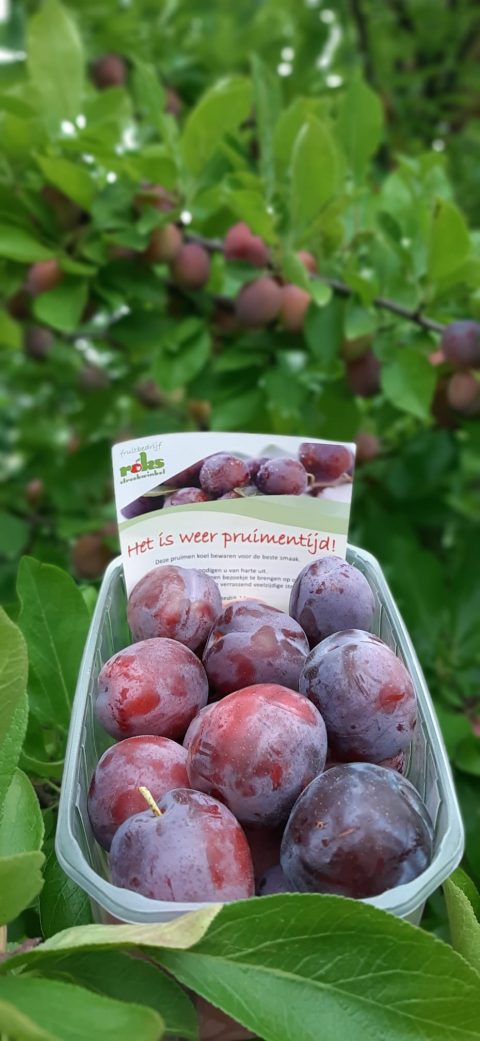 Tot in de pruimentijd | Roks Streekwinkel